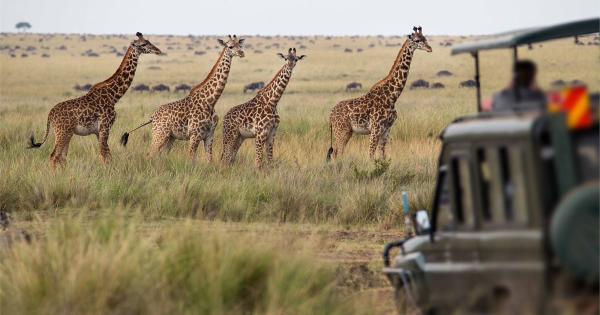 Worldwide Tour Deals | Tours | Travel | helloworld Travel